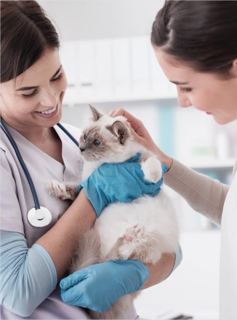 Edge Animal Health - Animal Biotechnology Solutions