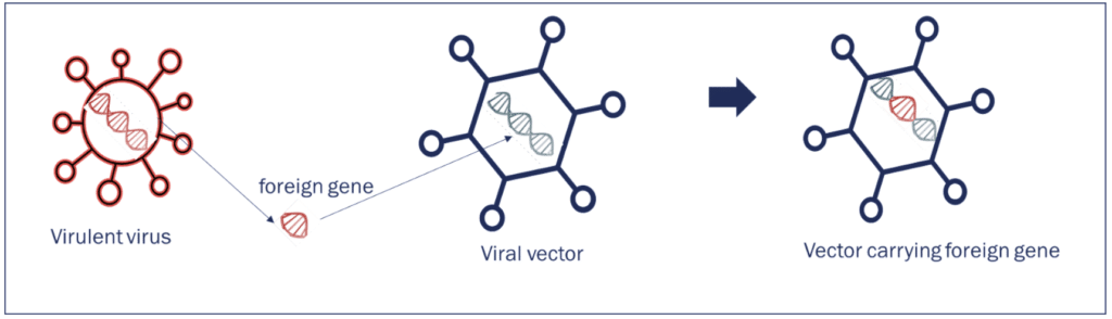 Pipeline - Edge Animal Health